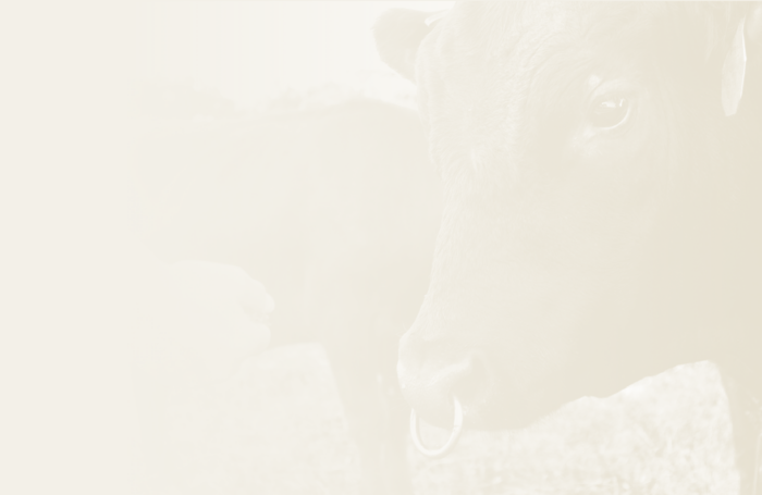 Meats By Linz | Premium Meat Distributor | Meat Purveyor