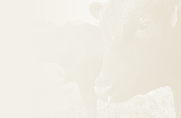 Meats By Linz | Premium Meat Distributor | Meat Purveyor