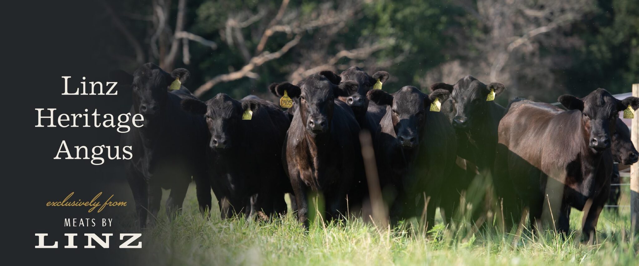 Linz Heritage Angus | Meat Distributor | Meats By Linz