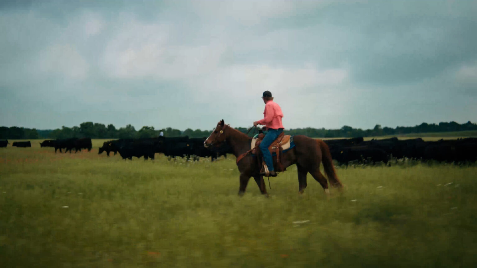 An Inside Look at Excellence in Ranching | Meats By Linz
