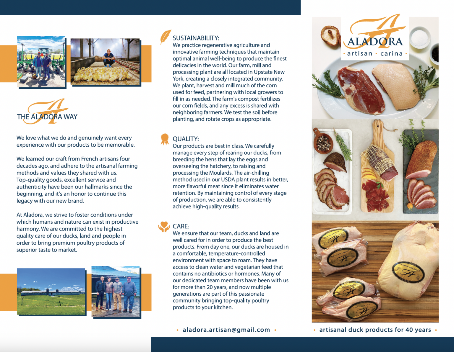 Downloads | Beef and Meat Education | Meats By Linz